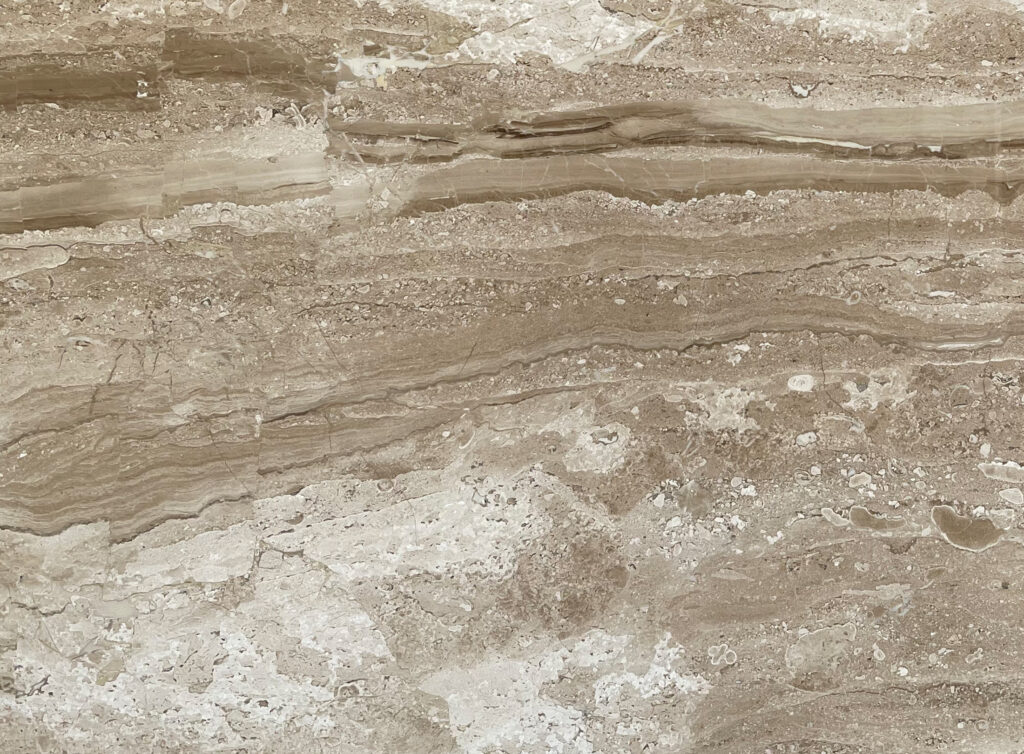 Rocamar Daino Reale | Rocamar