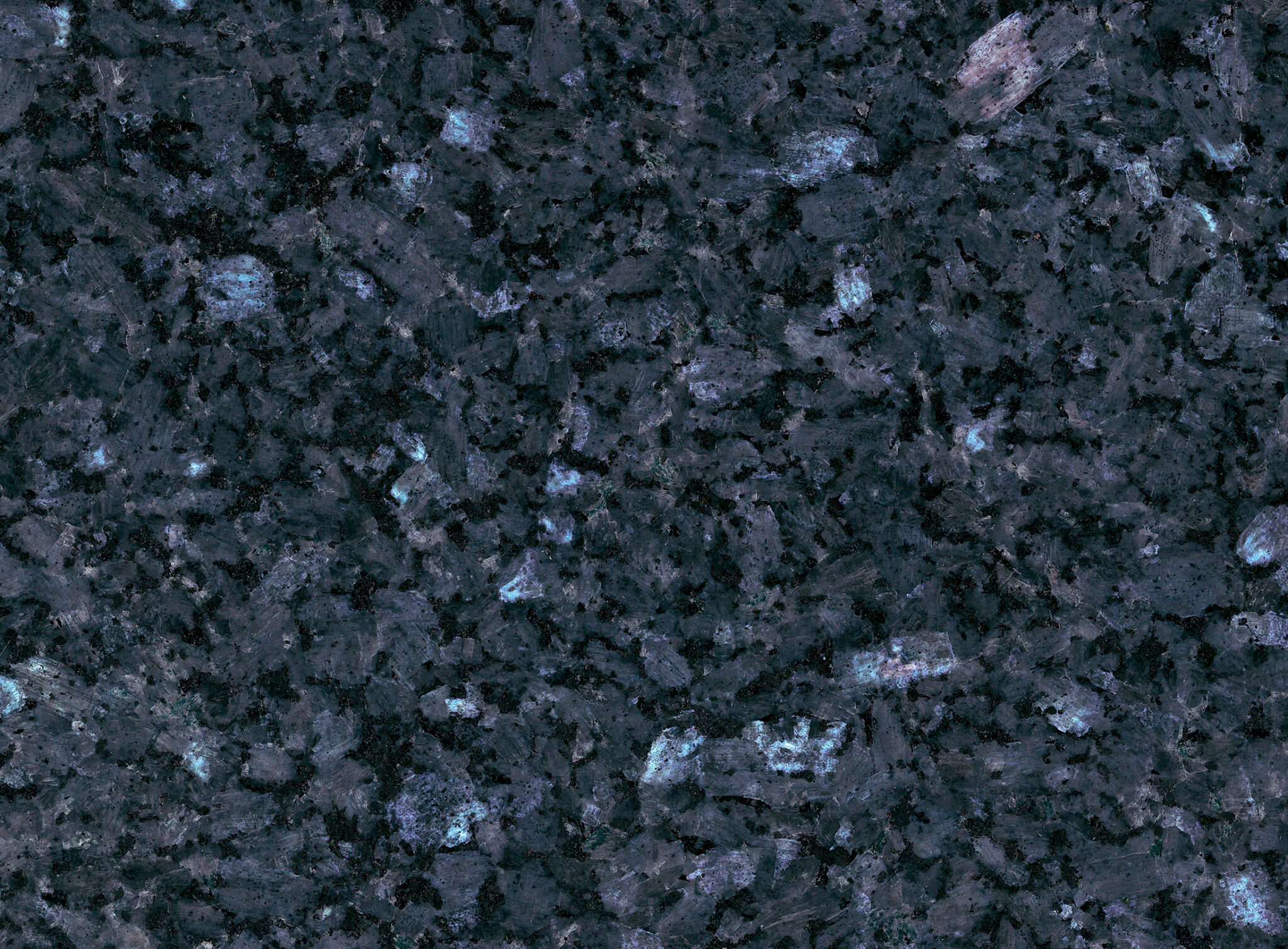 Rocamar Labrador Claro | Rocamar